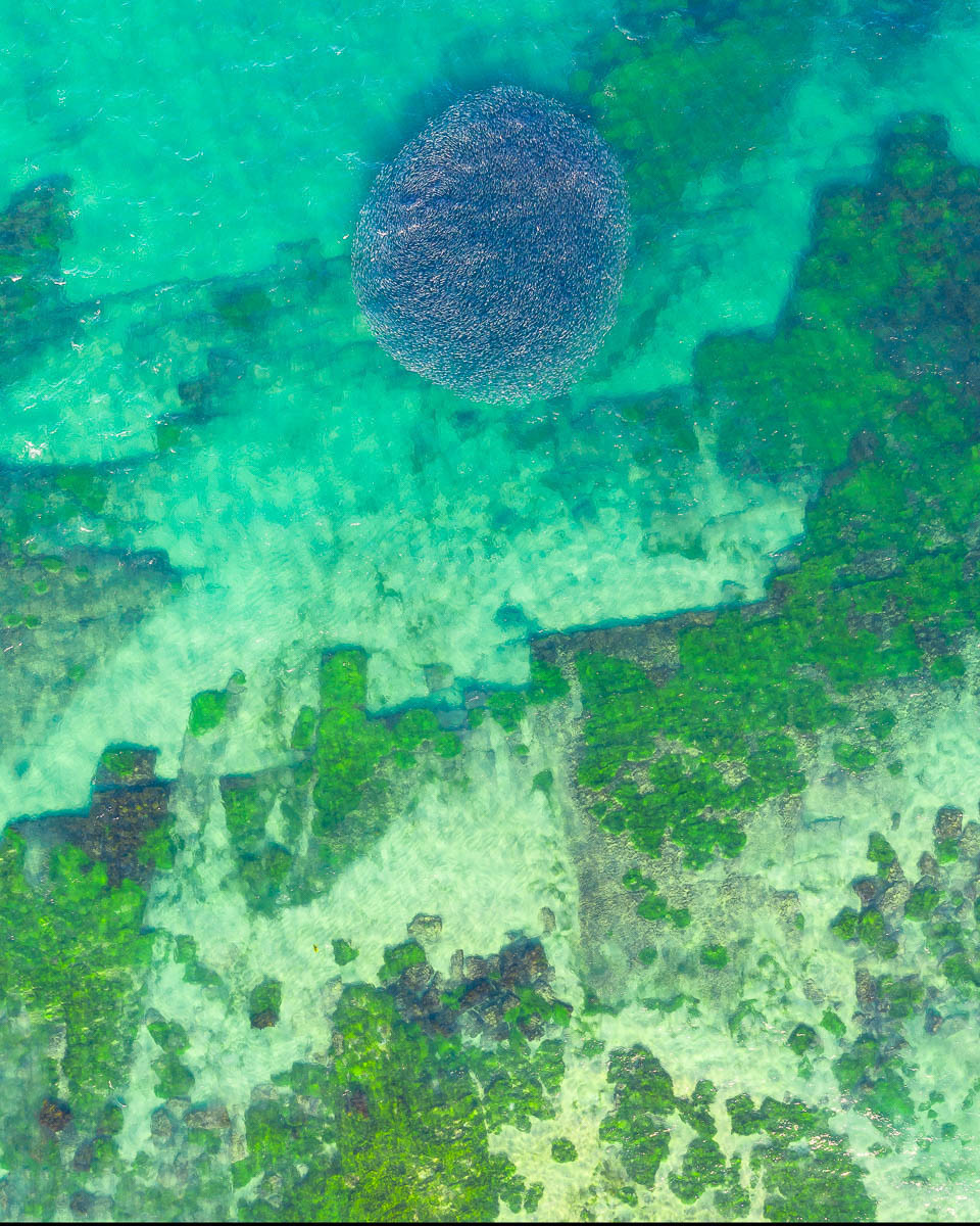 Spoon Bay Archives | Central Coast Drones